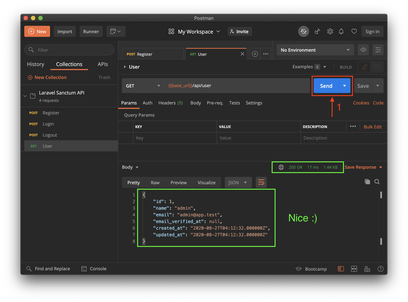 Laravel Apiw Sanctum And Vuejs Front End Appw Nuxt